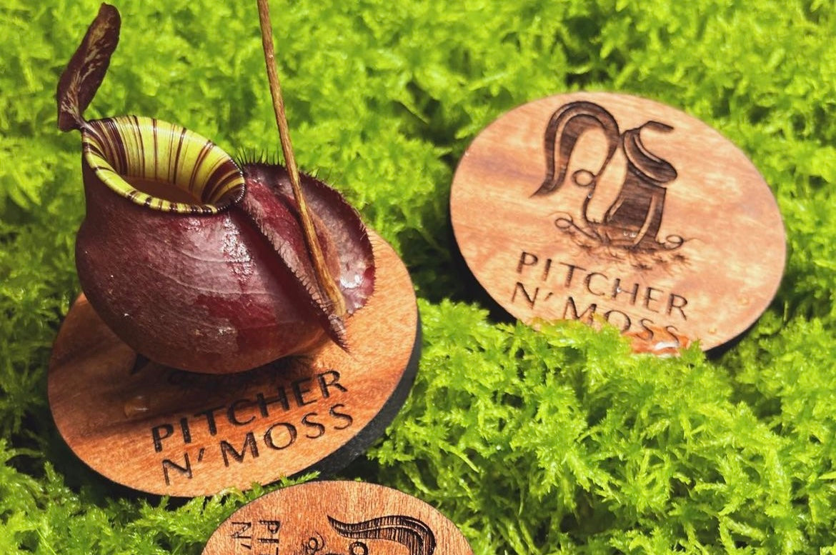 Story About The Pitcher, Story About The Moss – Pitcher N' Moss